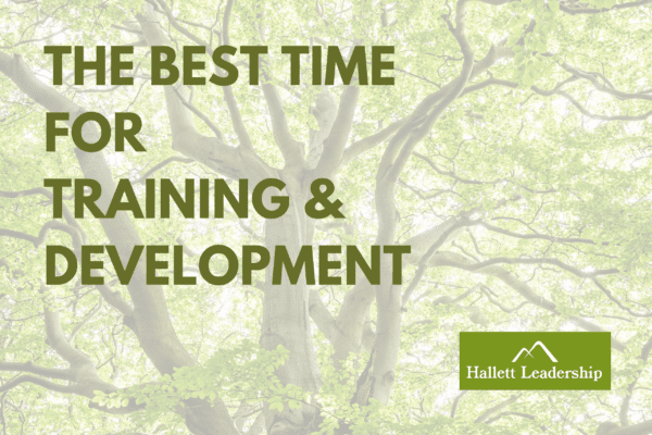 Middle Management Development and Training: The Best Time To Begin
