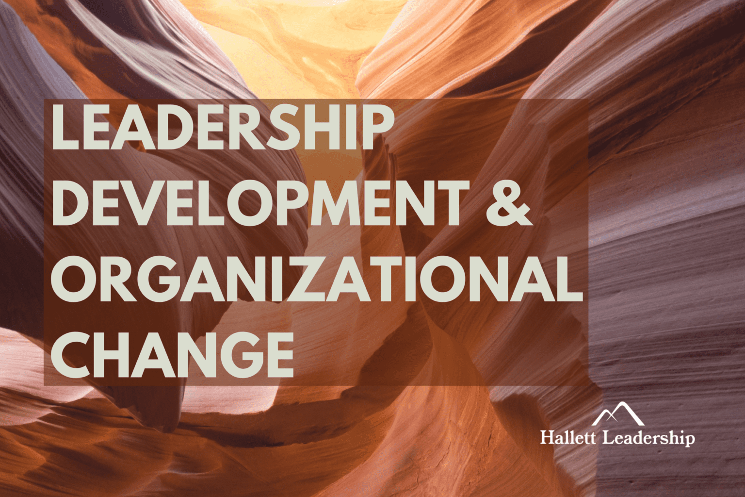 Middle Management Development and Change: Leading By Example