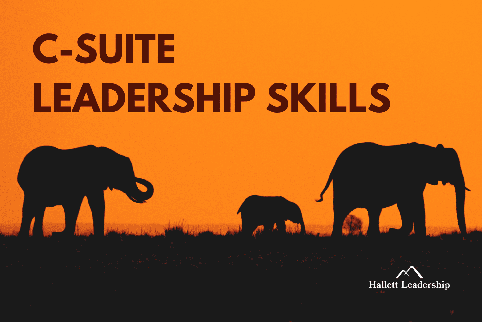 C-Suite Leadership Skills: Being The Change You Wish To See