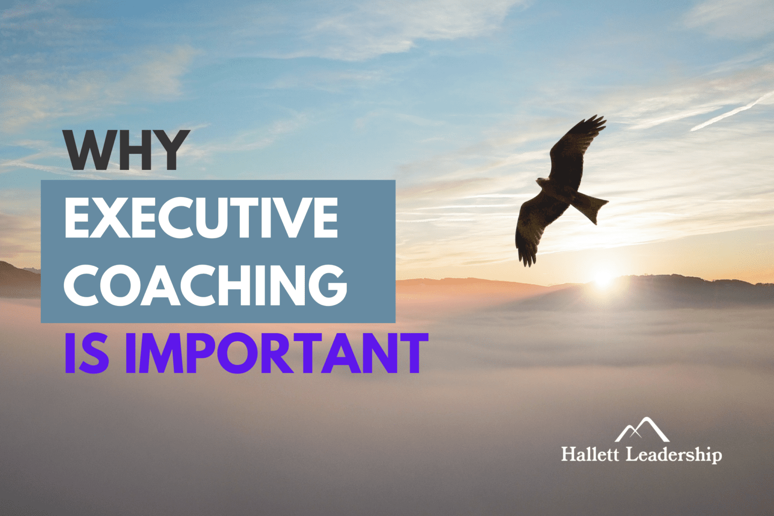 Why Executive Coaching Is Important: A Statement For C-Suite Leaders
