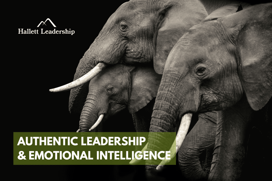 Authentic Leadership & Emotional Intelligence: How They Relate